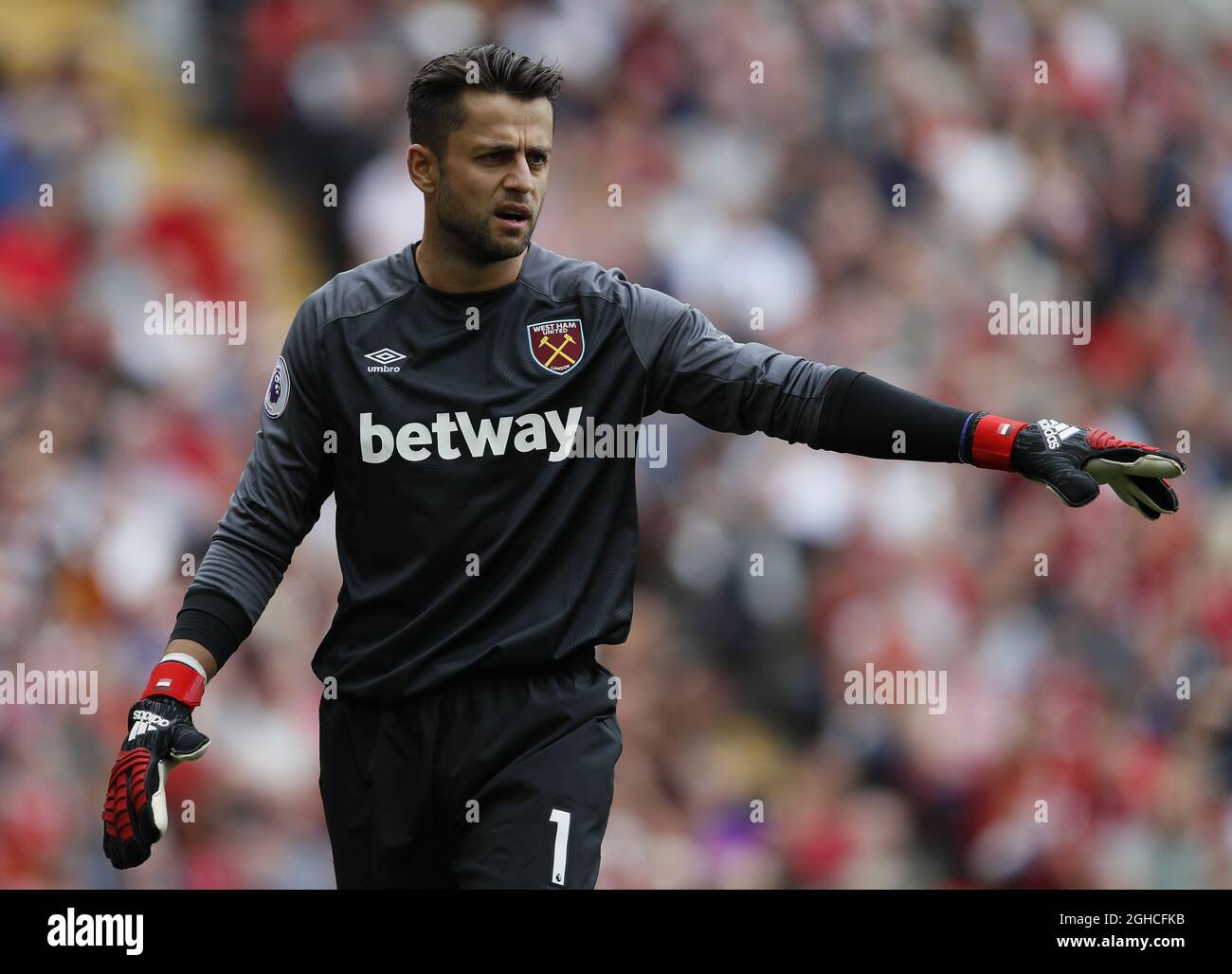 Likasz hi-res stock photography and images - Alamy