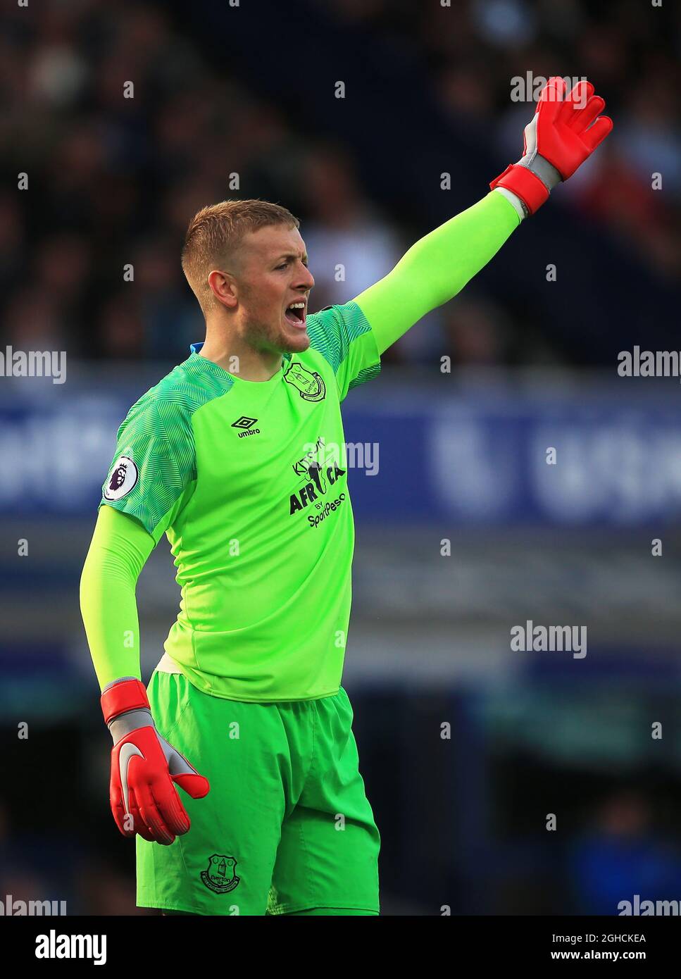 Evertons jordan pickford hi-res stock photography and images - Alamy