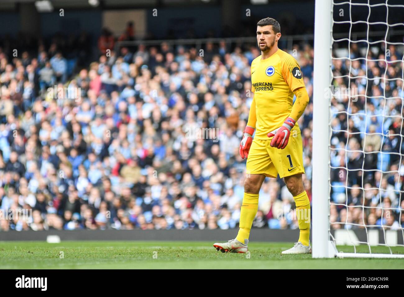 Matthew Ryan of Brighton during the Premier League match at the Etihad ...