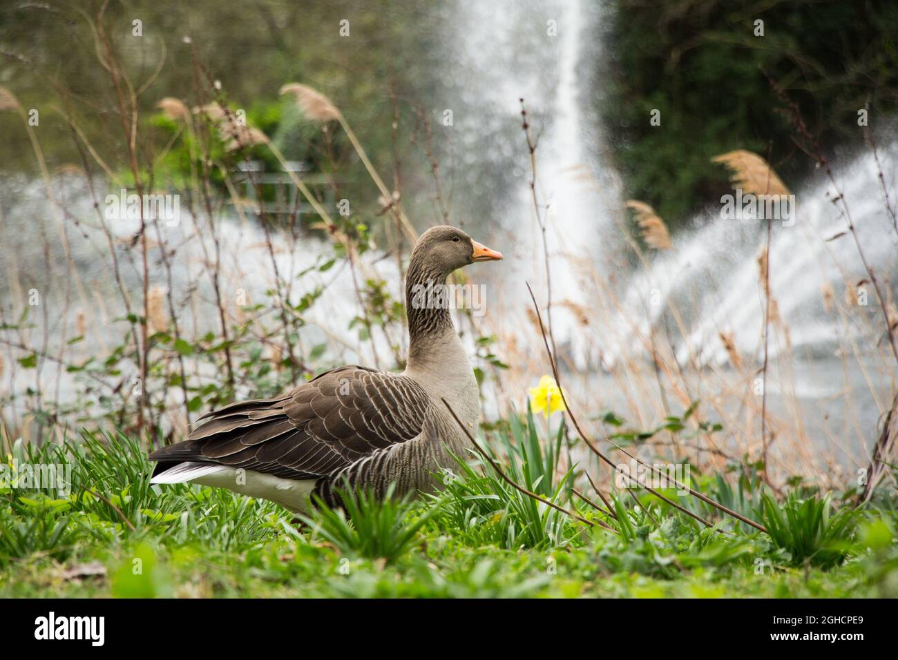Cute fountain in park hi-res stock photography and images - Alamy
