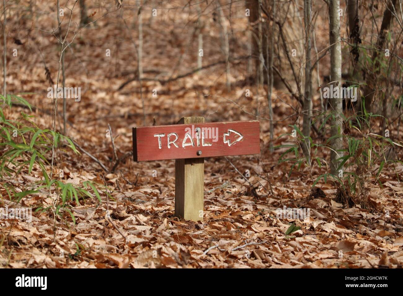 A trail sign points the way for hikers to go on a trail full of brown ...