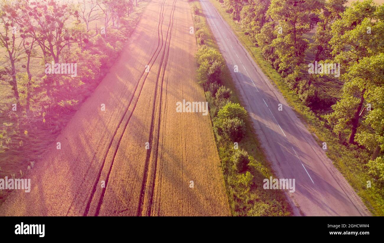Aerial drone view flight over highway, wheat field and green trees at ...