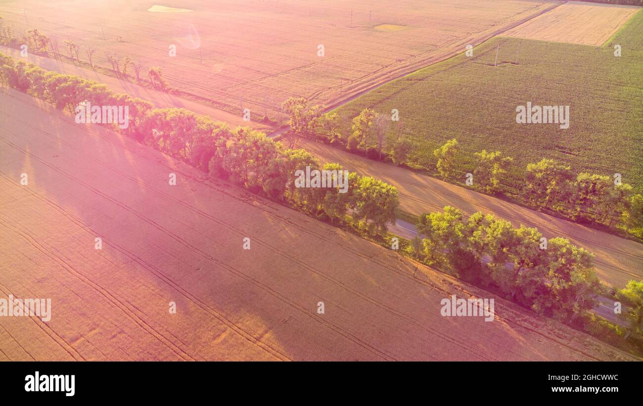 Flying over fields ripe wheat hi-res stock photography and images - Alamy