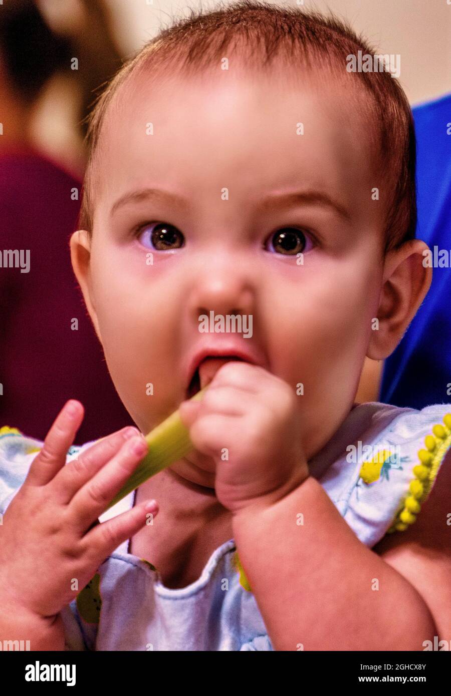 Baby esting a pickle hi-res stock photography and images - Alamy