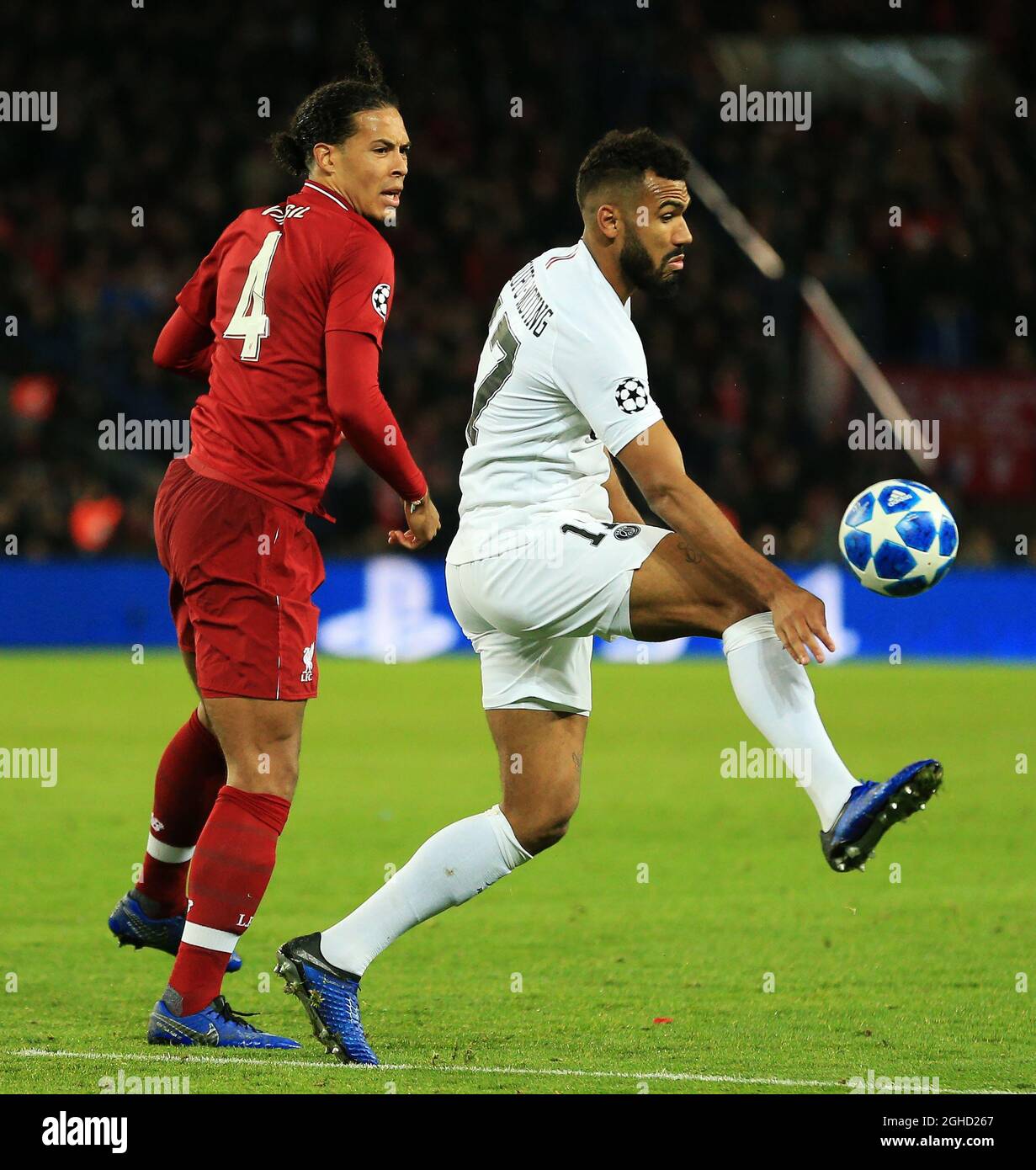Eric van dijk hi-res stock photography and images - Alamy
