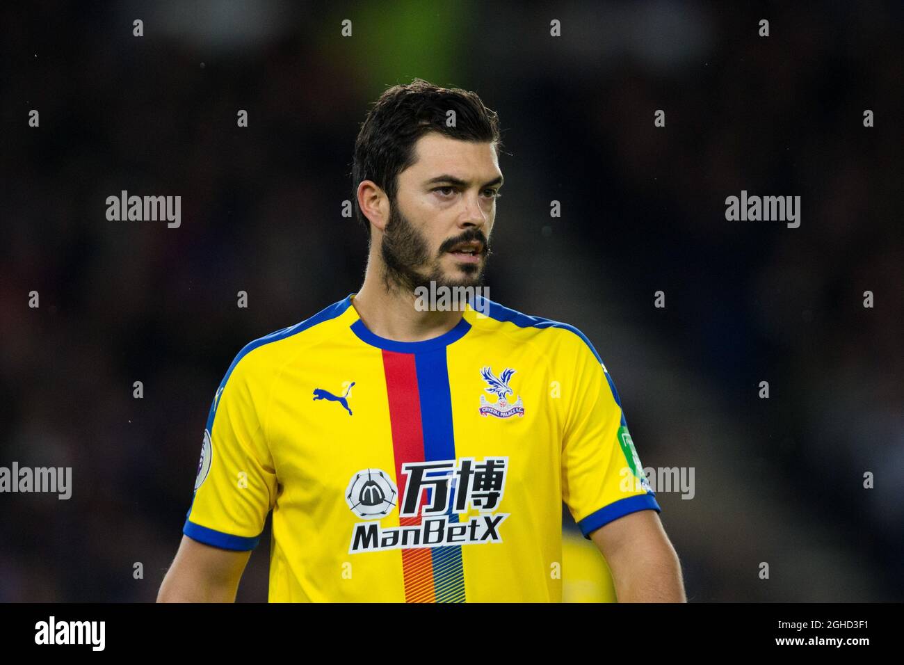 James Tomkins of Crystal Palace during the Premier League match at the ...