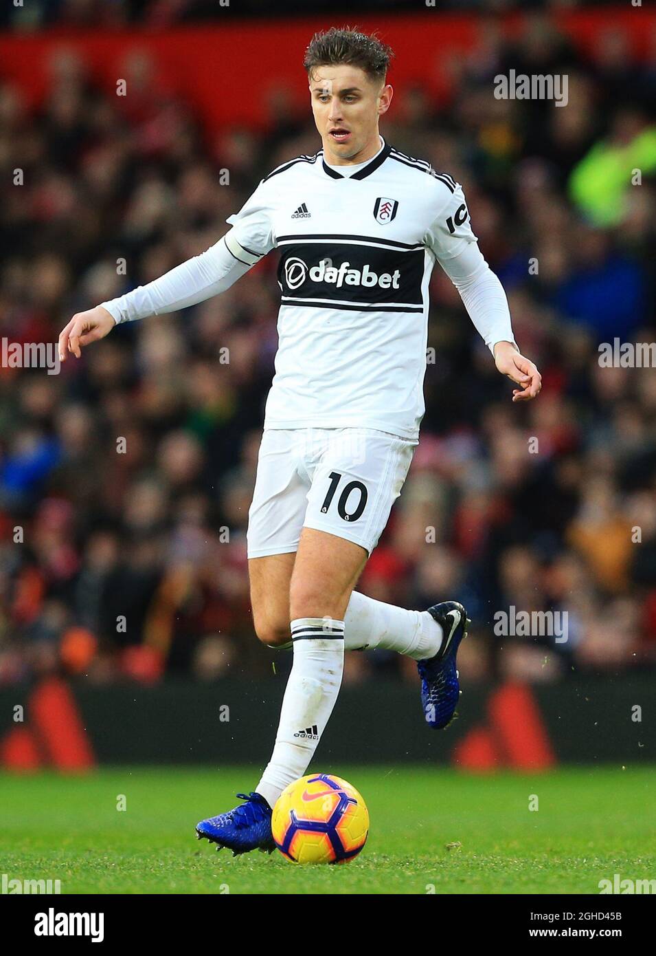 Old tom date hi-res stock photography and images - Alamy