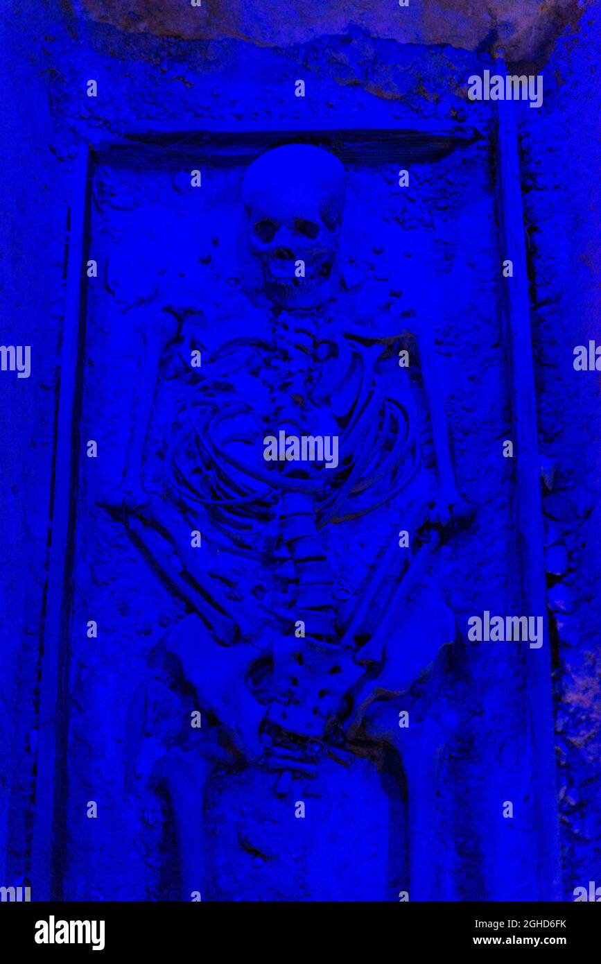 Human grave skeleton hi-res stock photography and images - Alamy