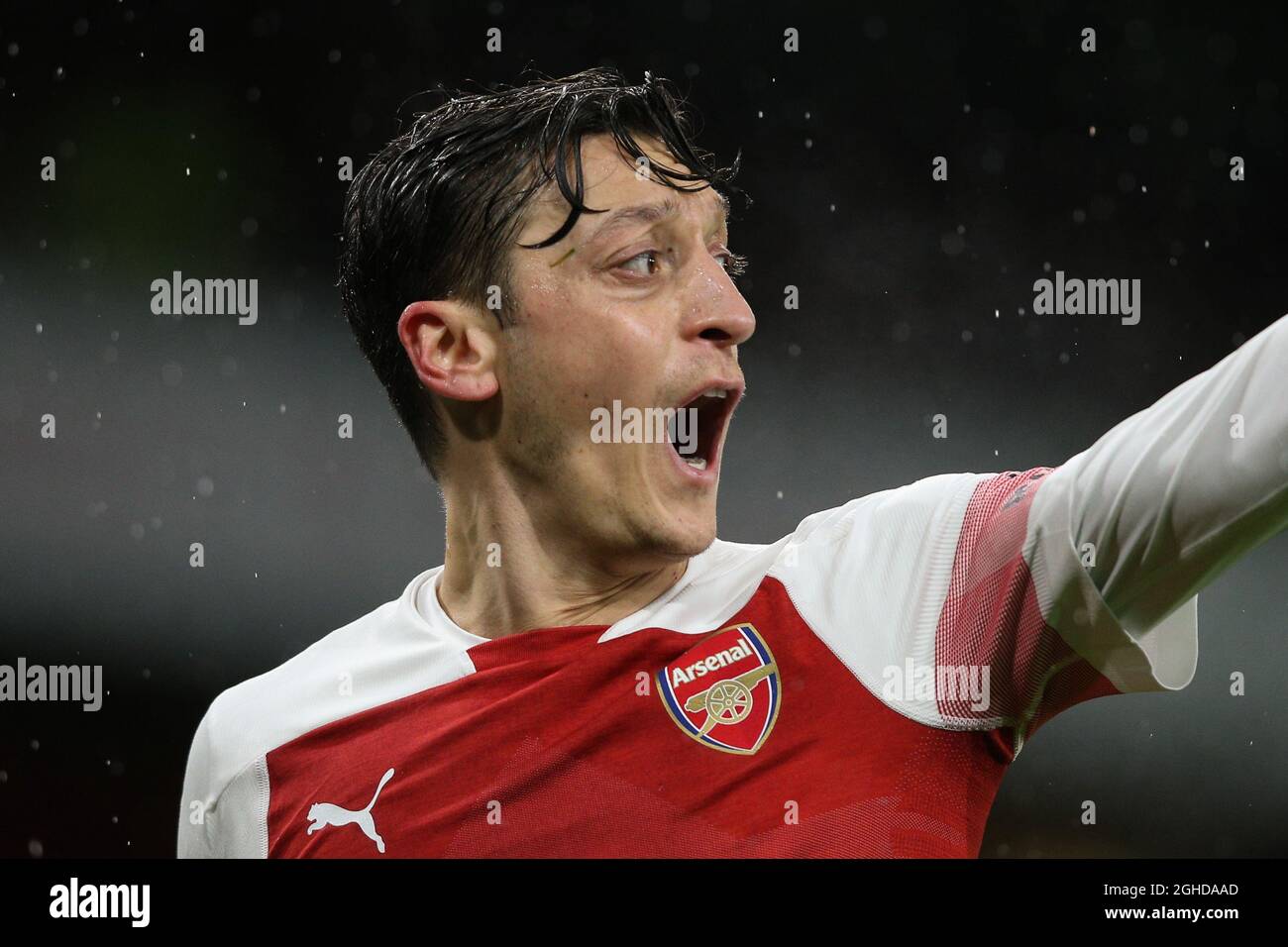 Mesut Ozil of Arsenal reacts during the Premier League match at the ...