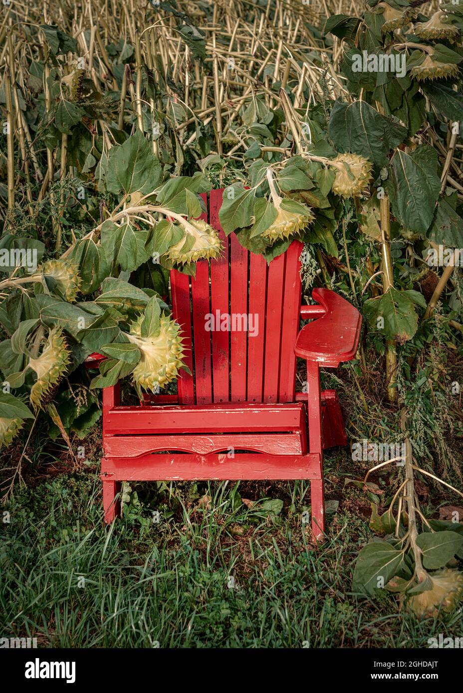 Tumbled down hi-res stock photography and images - Alamy