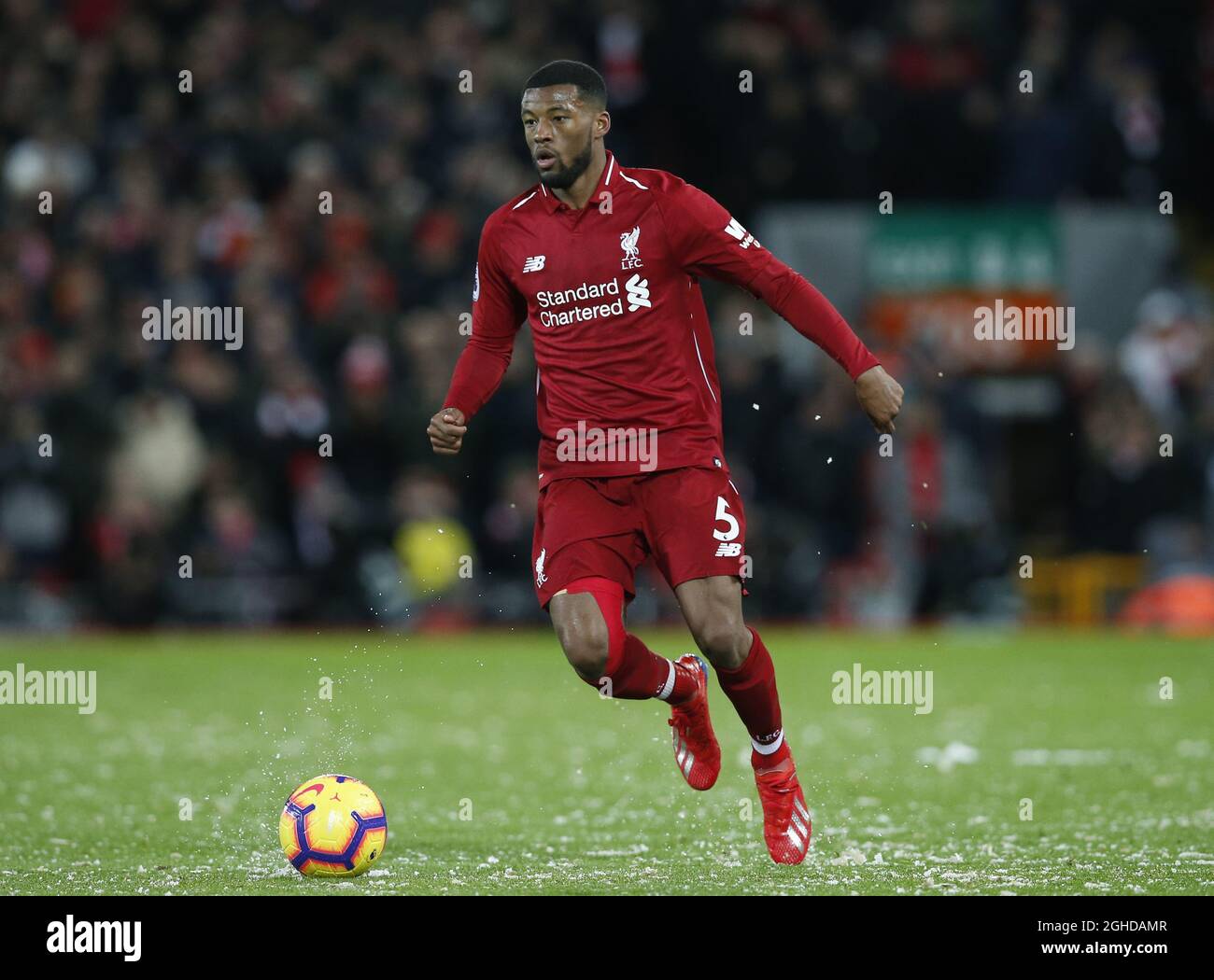 Georgina Wijnaldum of Liverpool during the Premier League match at ...