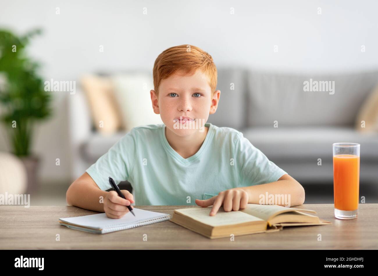 Adorable redhead boy reading book and writing notes Stock Photo - Alamy Adorable redhead boy reading book and writing notes Stock Photo - Alamy