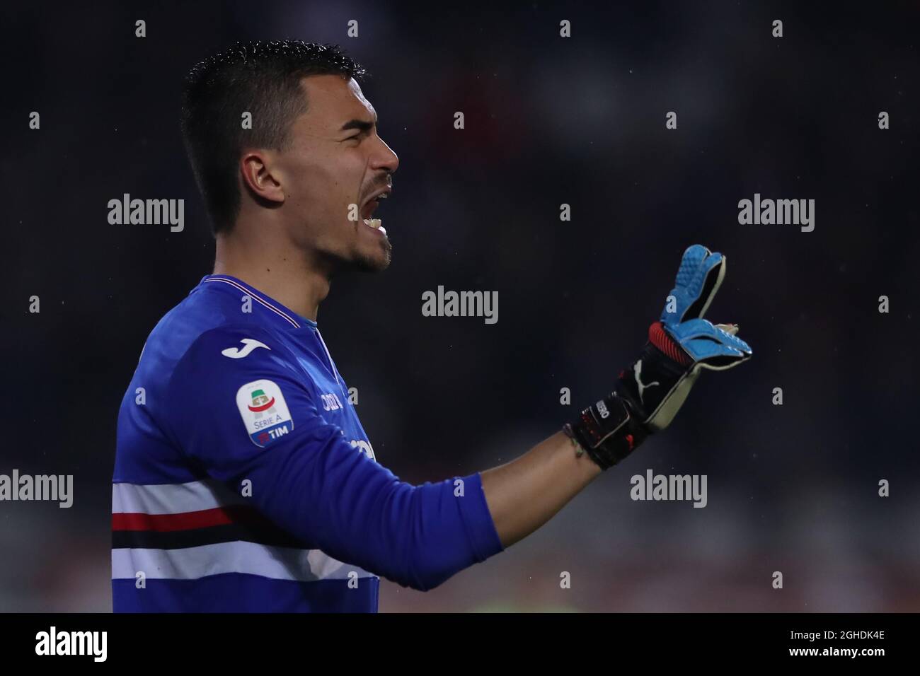Emil Audero of Sampdoria during the Serie A match at Olimpico di Torino ...