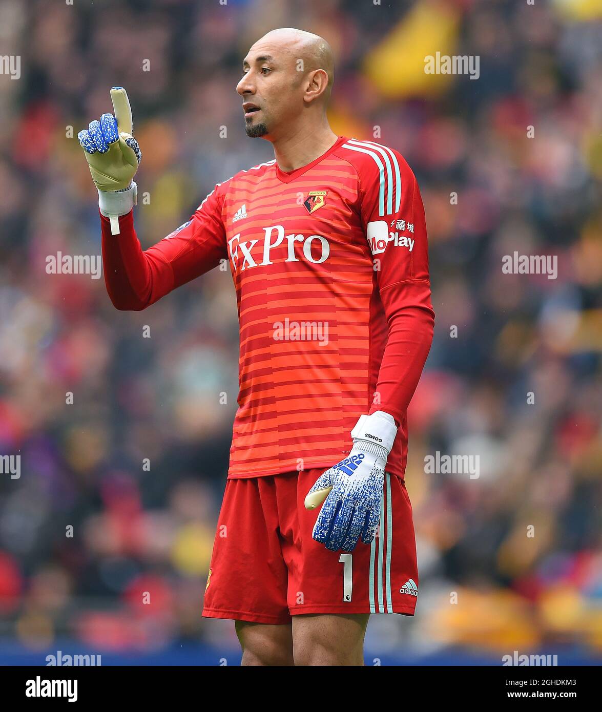 Goalkeeper heurelho gomes hi-res stock photography and images - Alamy