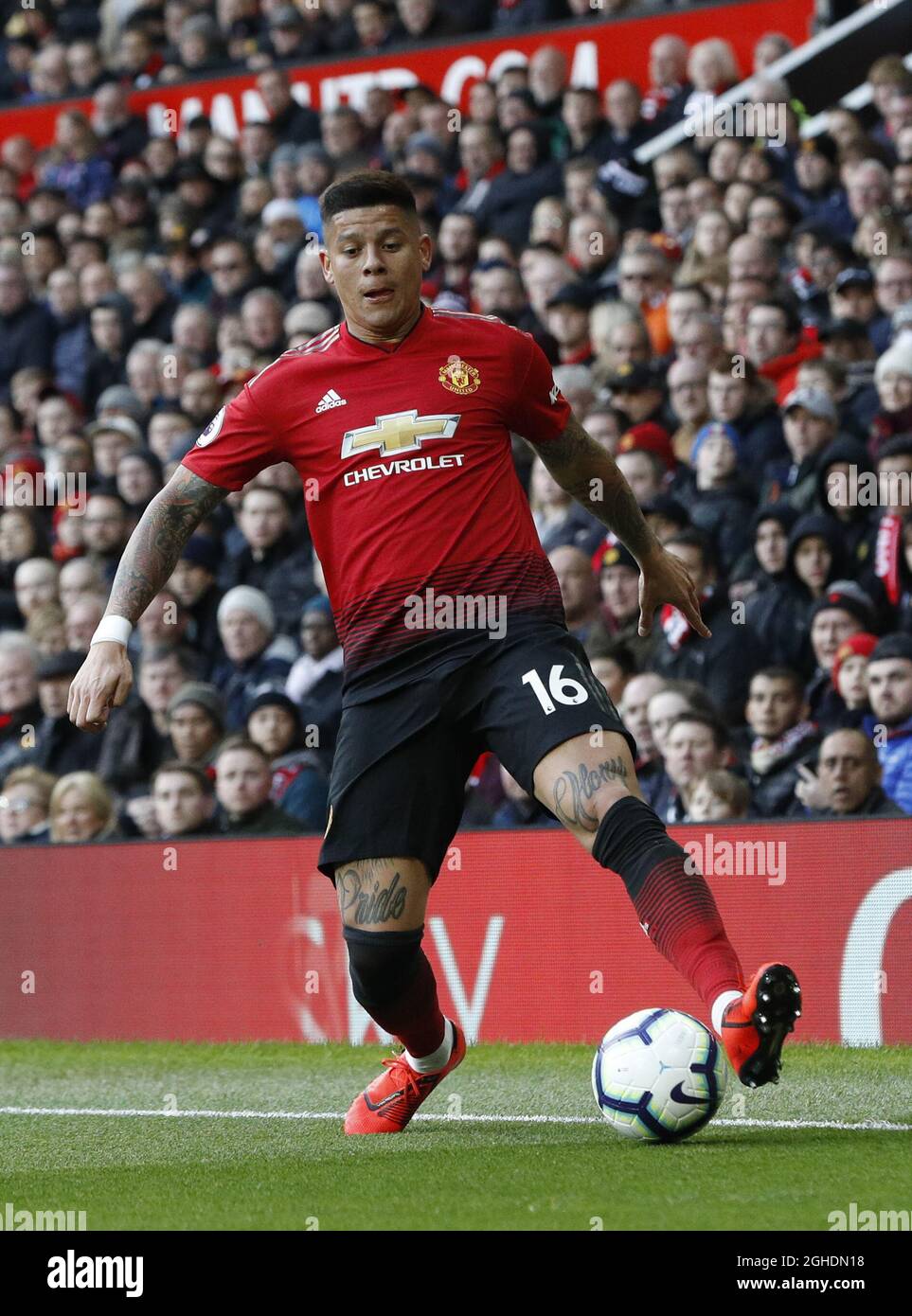 Marcus rojo hi-res stock photography and images - Alamy