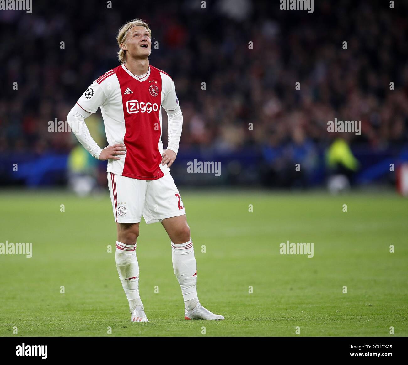 David dolberg hi-res stock photography and images - Alamy