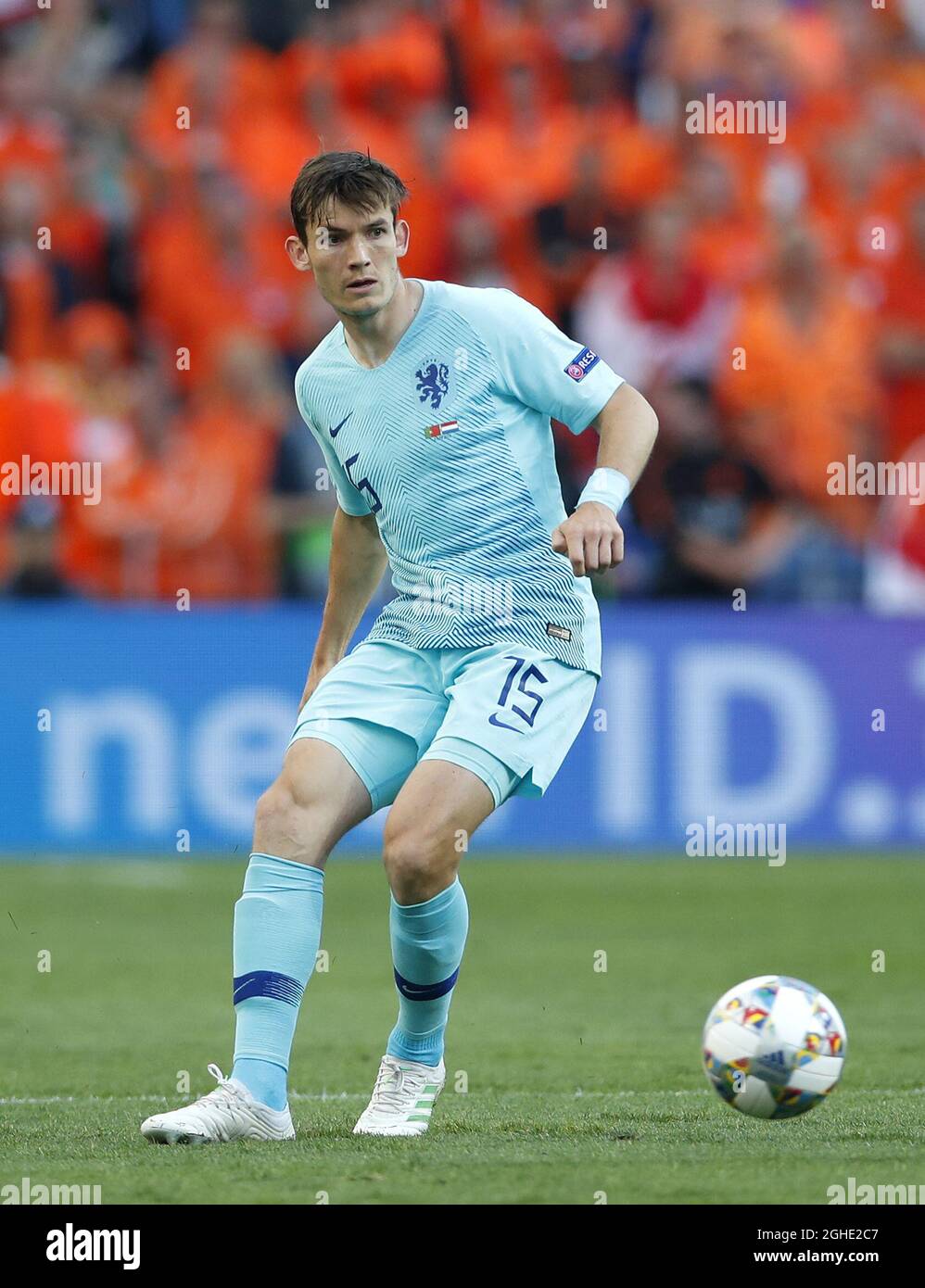 Netherlands marten hi-res stock photography and images - Alamy