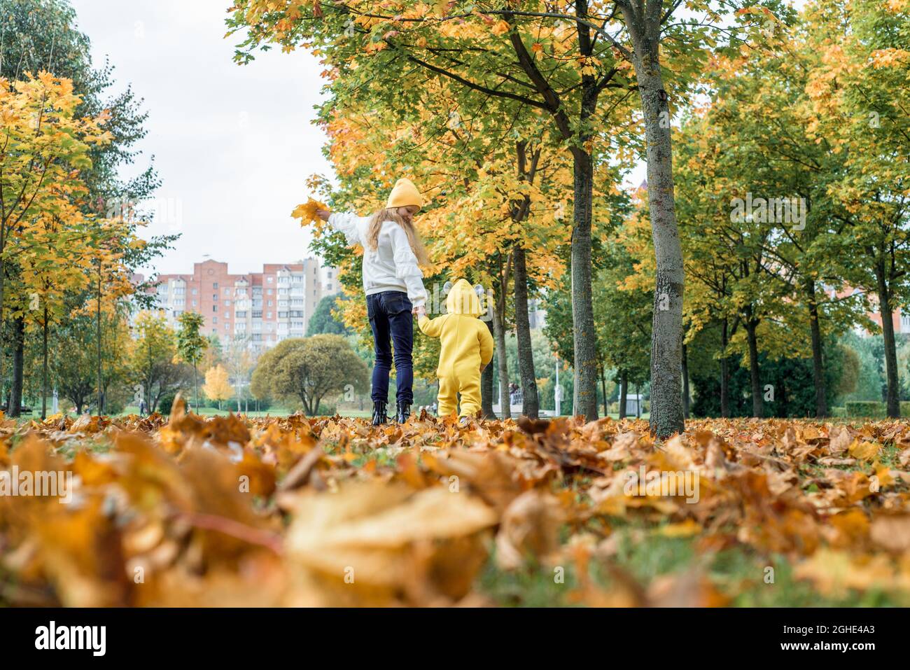 Happy children walk in autumn park. leaf fall, lifestyle Stock Photo ...