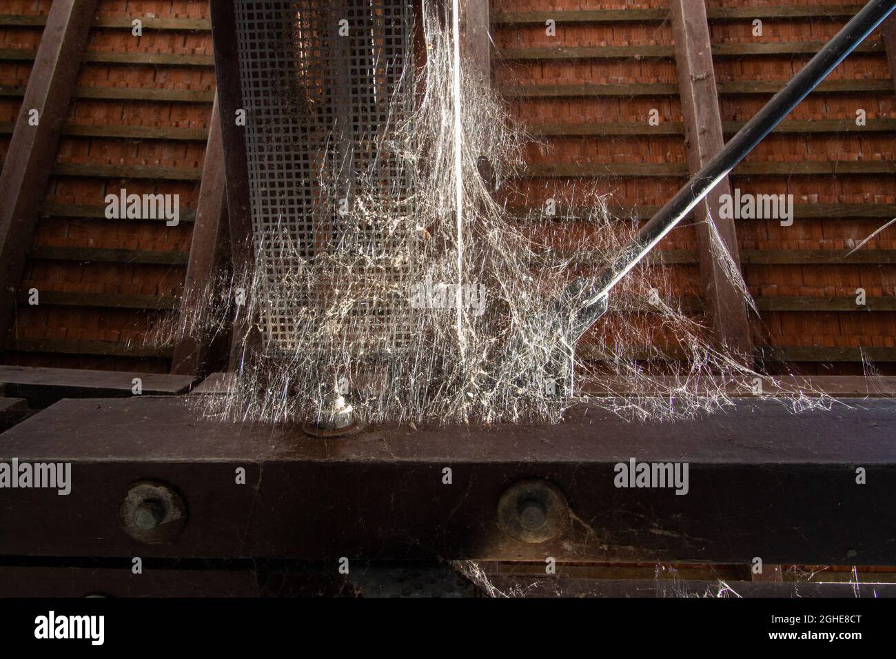 Abstract white spider web under a roof illuminated by the sun Stock ...