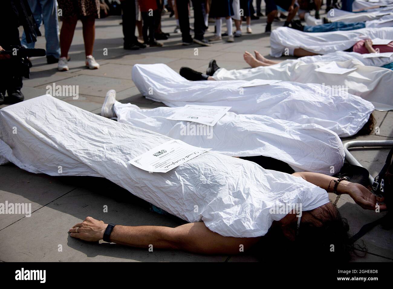 Activists participate in a "Die-In" while laying down on the sidewalk ...