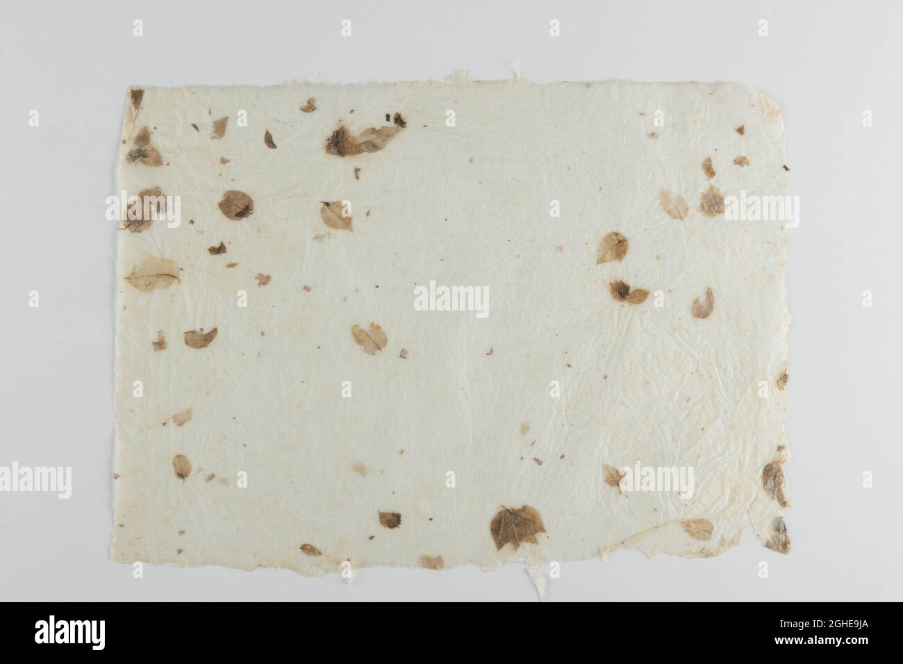 Natural dry leaves paper texture. handmade paper Stock Photo - Alamy