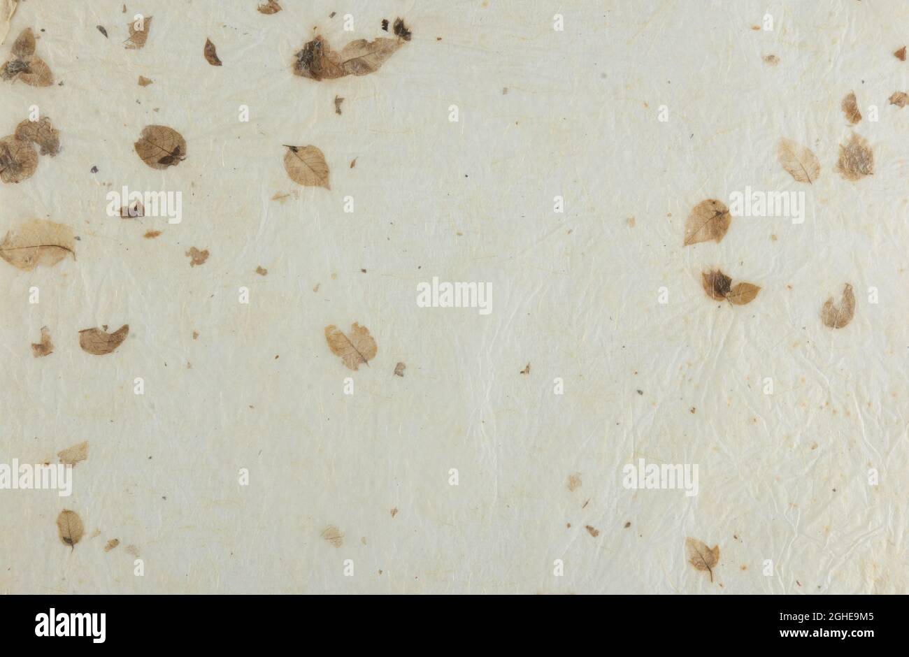 Natural dry leaves paper texture. handmade paper Stock Photo - Alamy