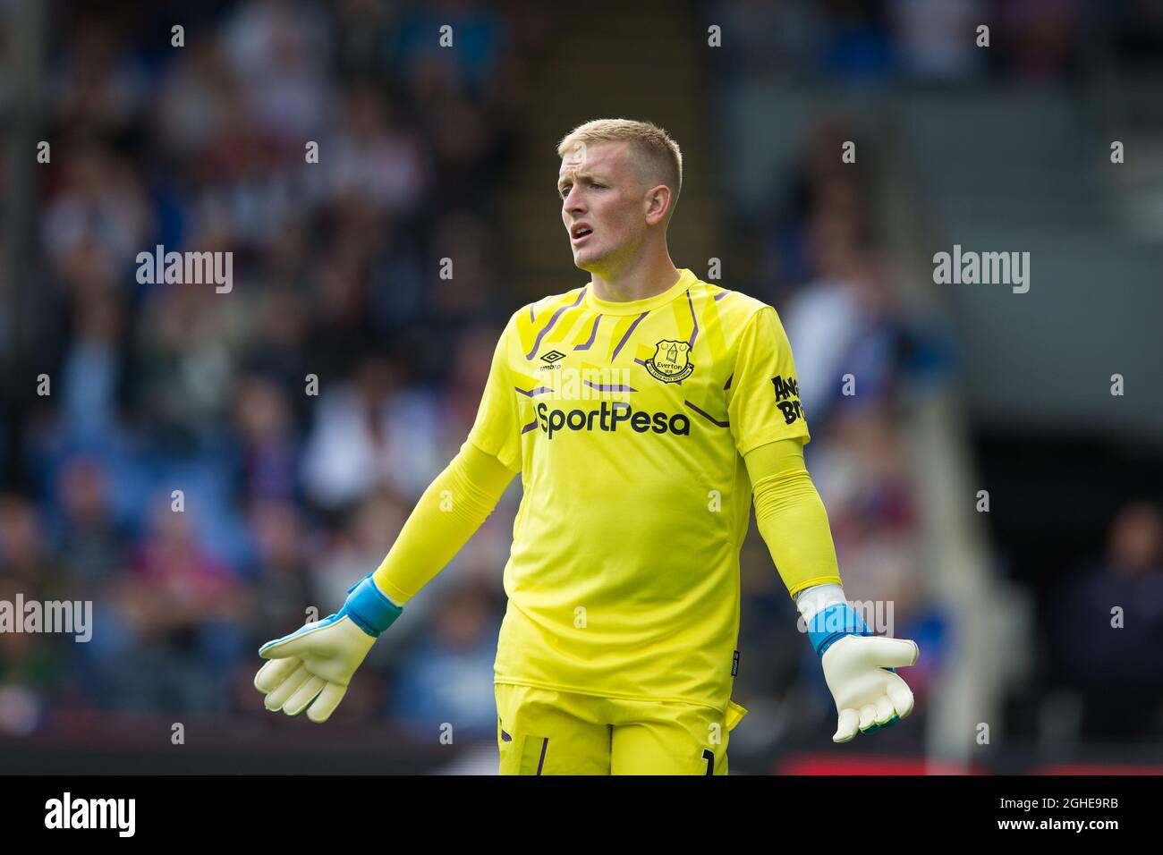 Jordan Pickford of Everton reacts during the Premier League match at ...