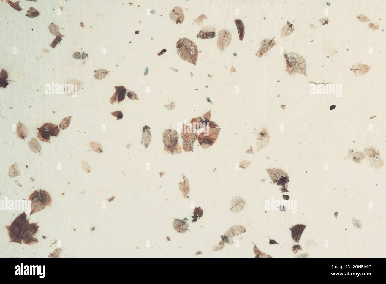 Natural dry leaves paper texture. handmade paper Stock Photo - Alamy