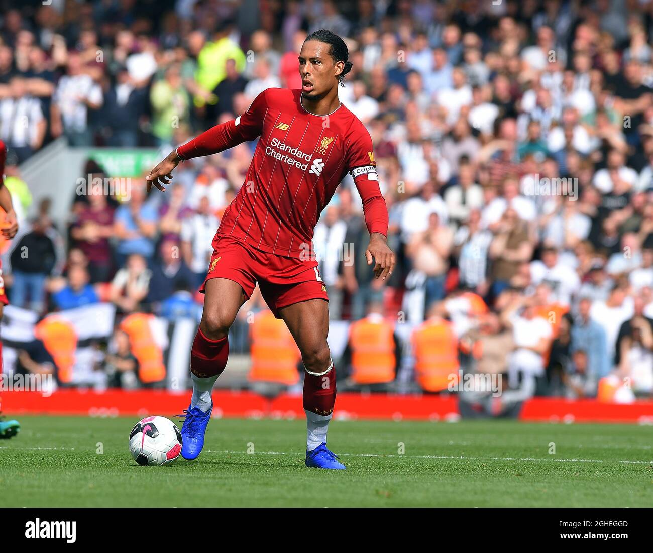 Robin dijk hi-res stock photography and images - Alamy