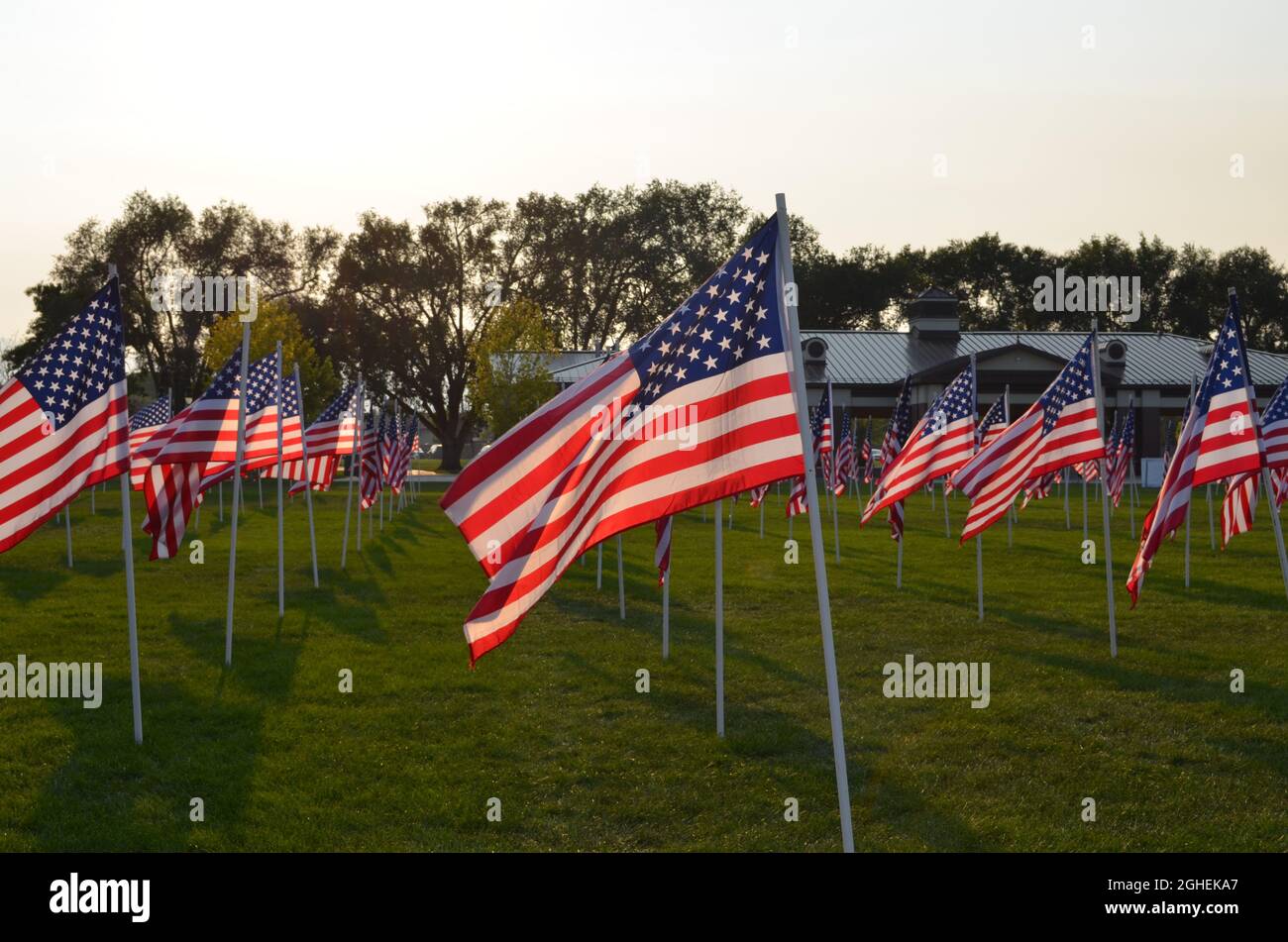 American filed of honor flags Stock Photo - Alamy