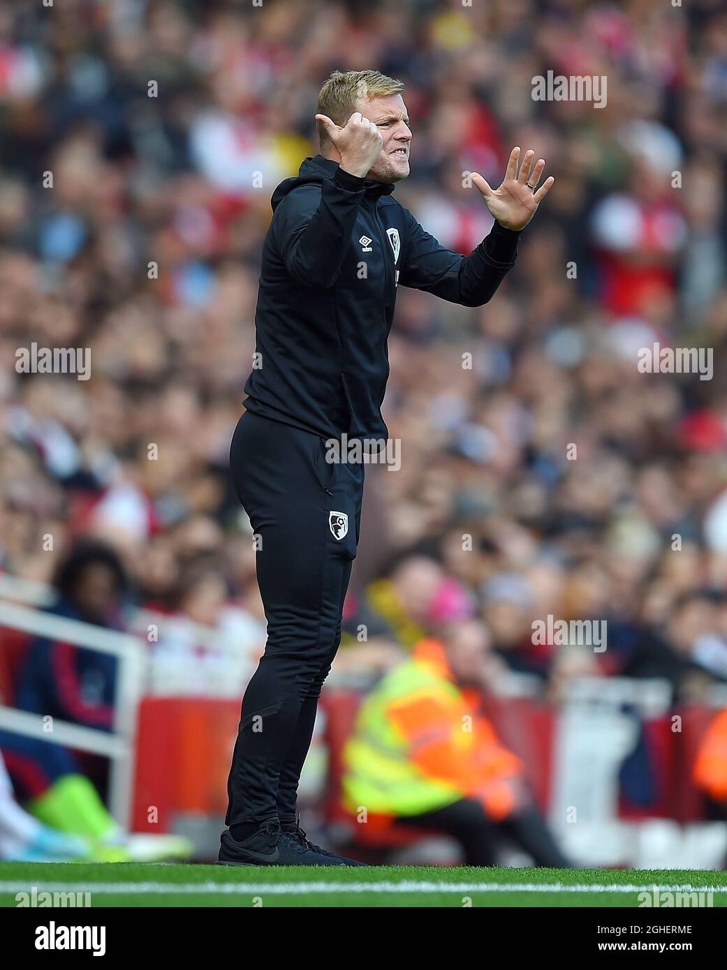 Robin howe hi-res stock photography and images - Alamy