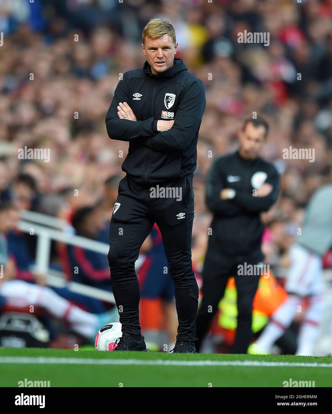 Robin howe hi-res stock photography and images - Alamy