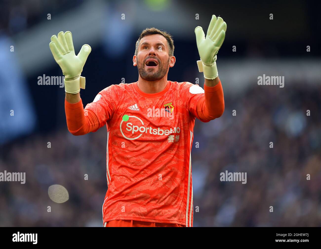 Watfords goalkeeper ben foster celebrates hi-res stock photography and ...