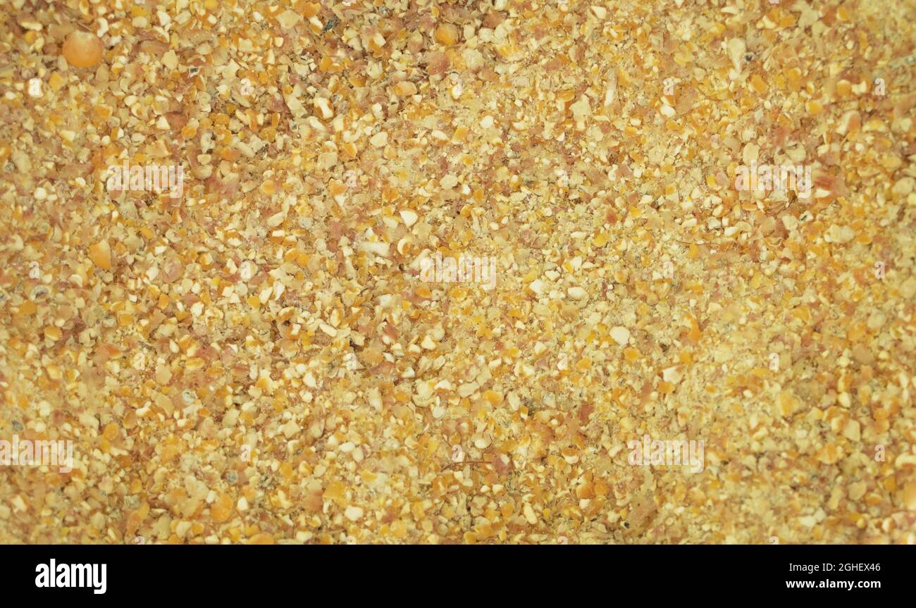 Bird food made from corn - Textured foto Stock Photo - Alamy
