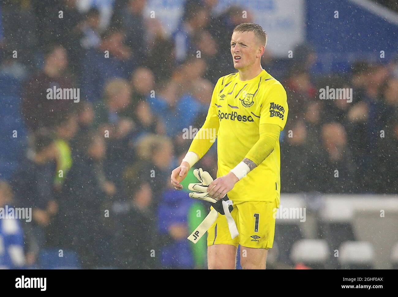 EvertonÕs goalkeeper Jordan Pickford looks dejected after the Premier ...