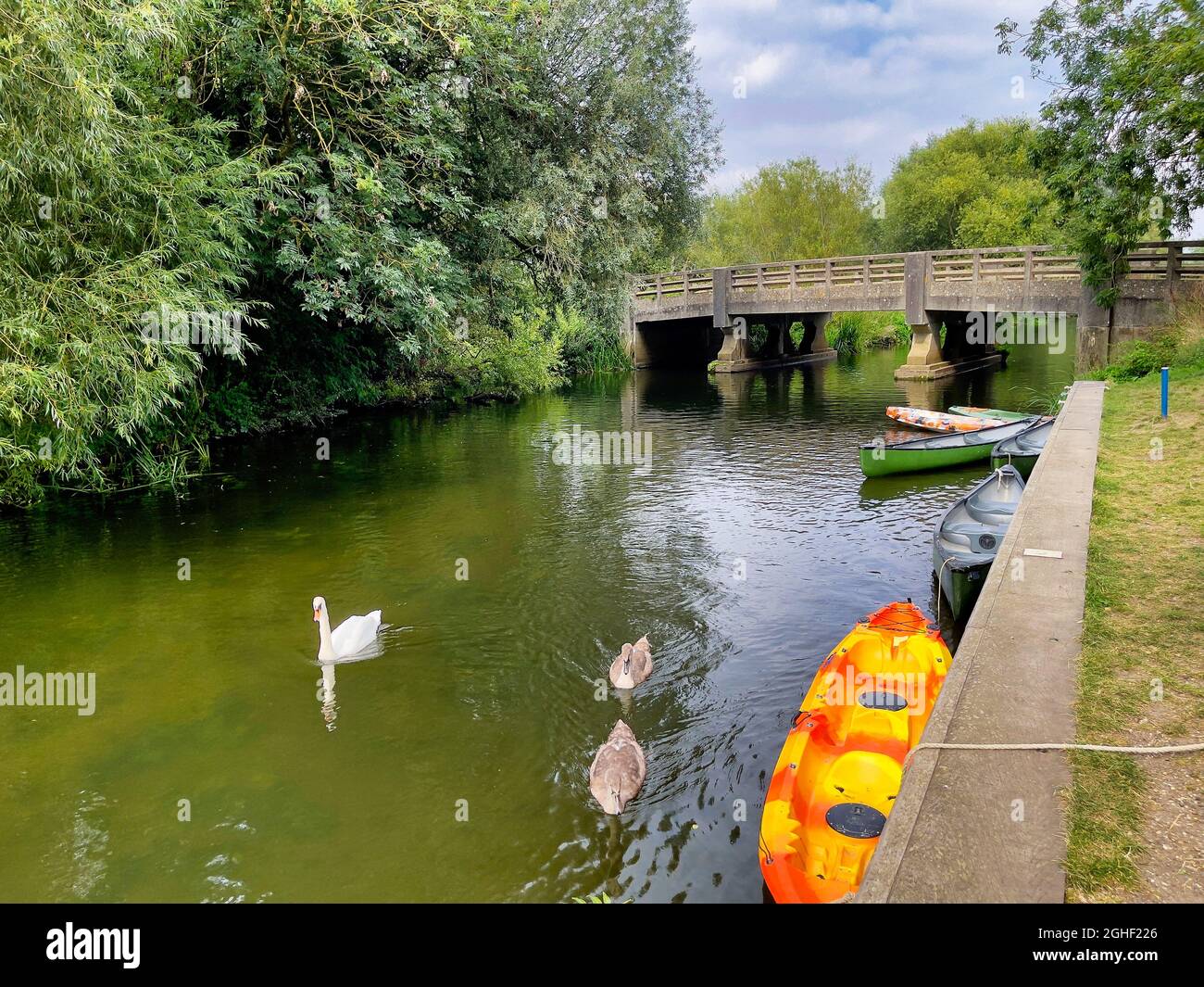 Bank activities hi-res stock photography and images - Alamy