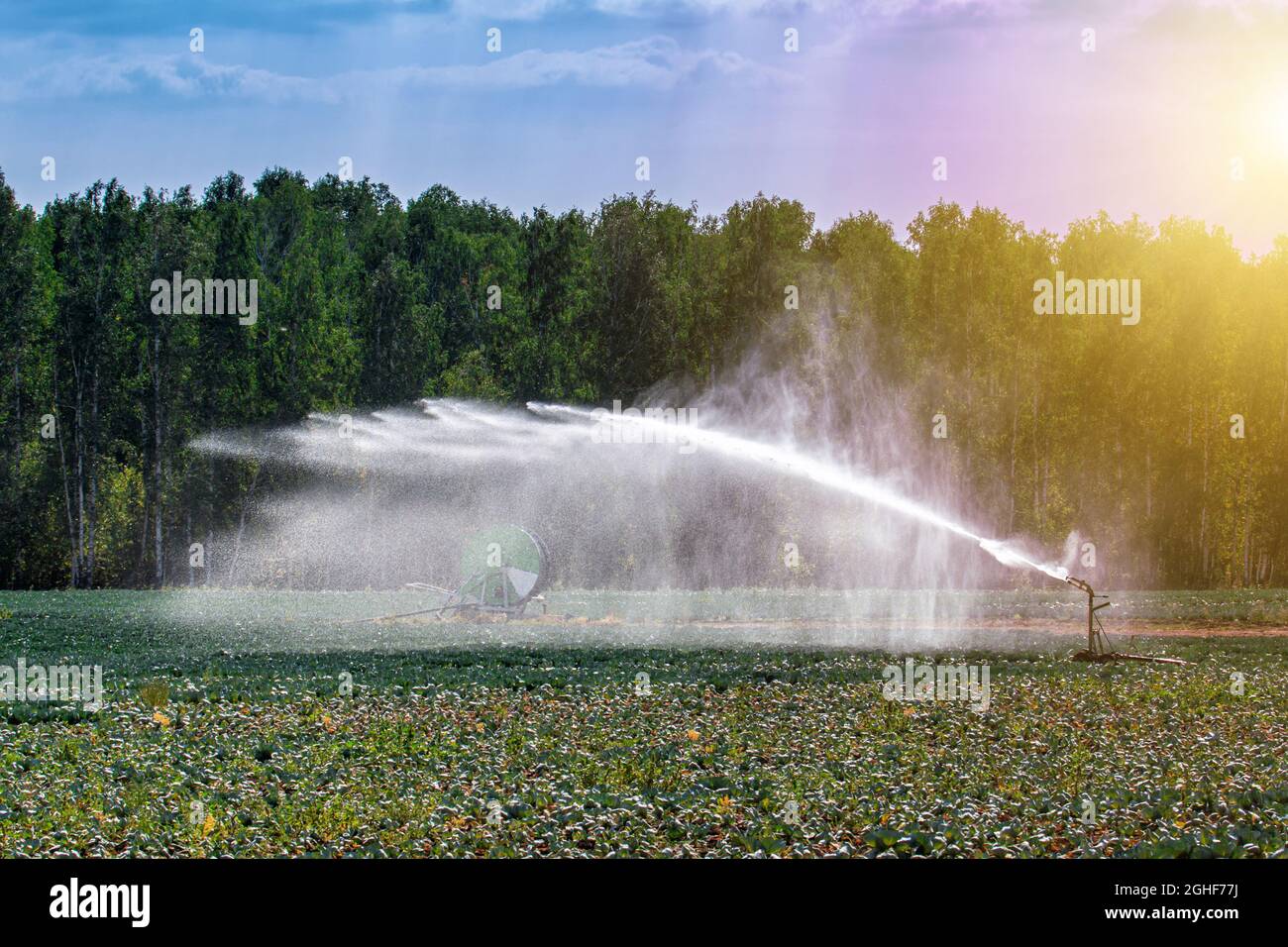 Automatic irrigation hi-res stock photography and images - Alamy