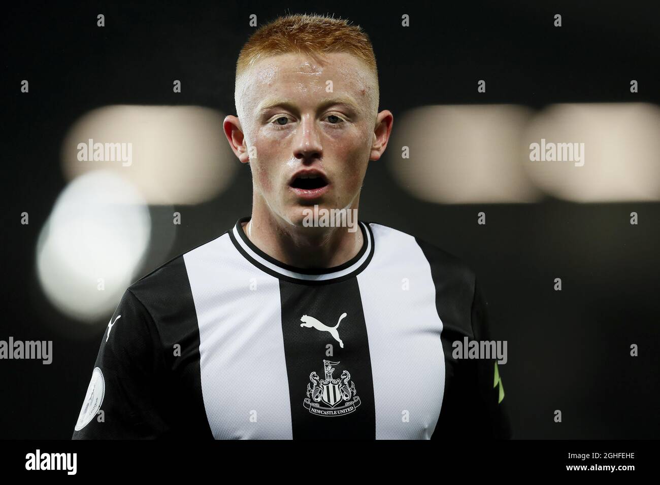 Longstaff matthew hi-res stock photography and images - Alamy