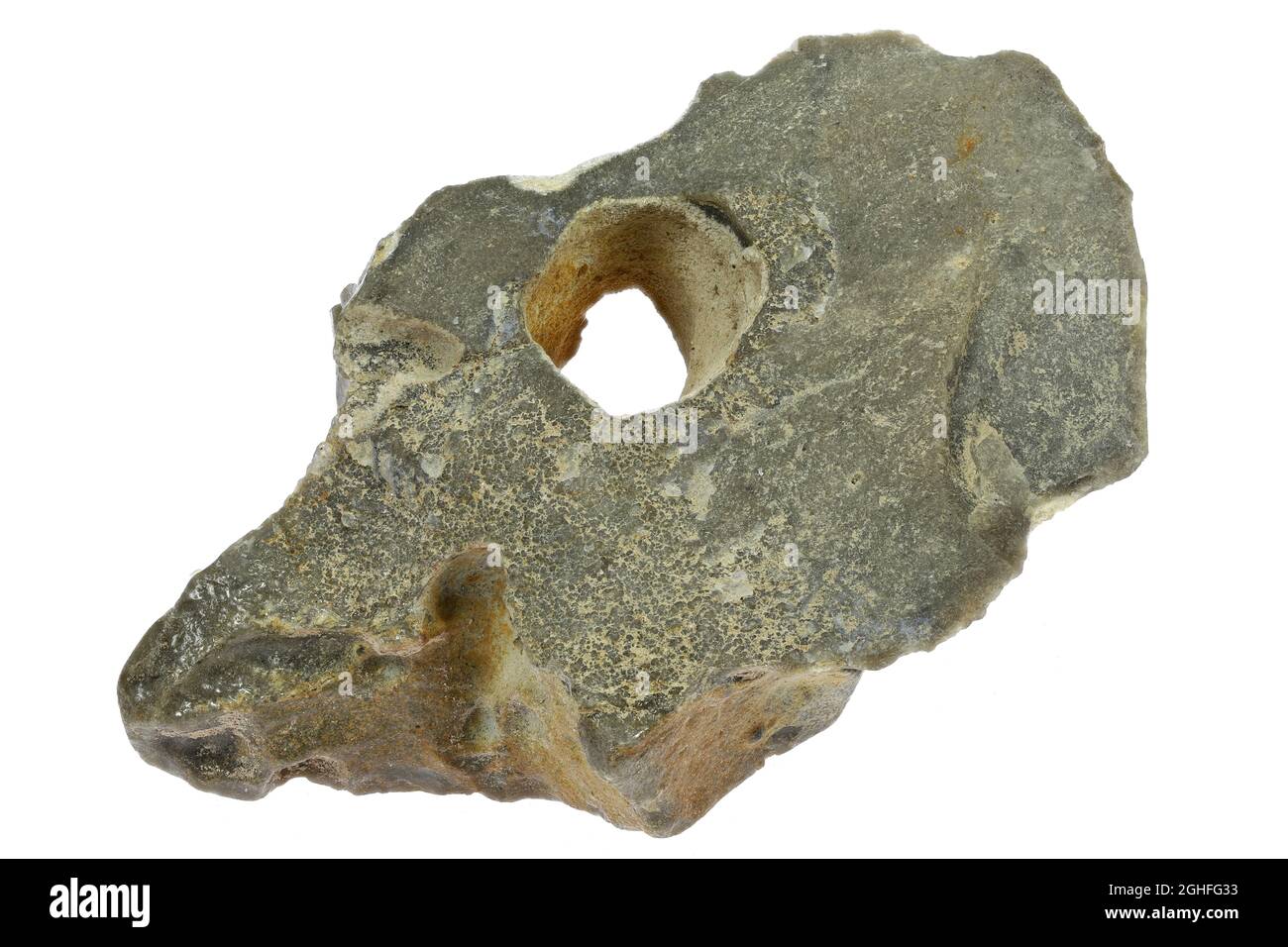 adder stone from Heligoland, Germany isolated on white background Stock ...