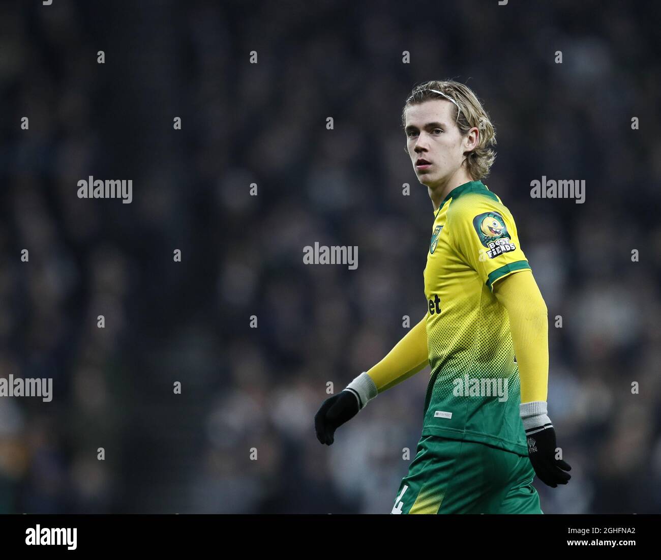 Noel cantwell hi-res stock photography and images - Alamy