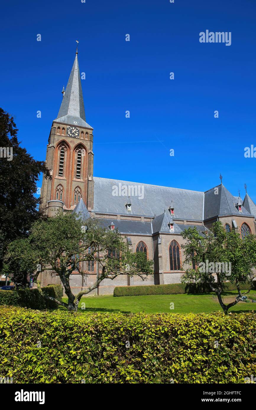 View on dutch neo gothic church from 18th century with green trees ...