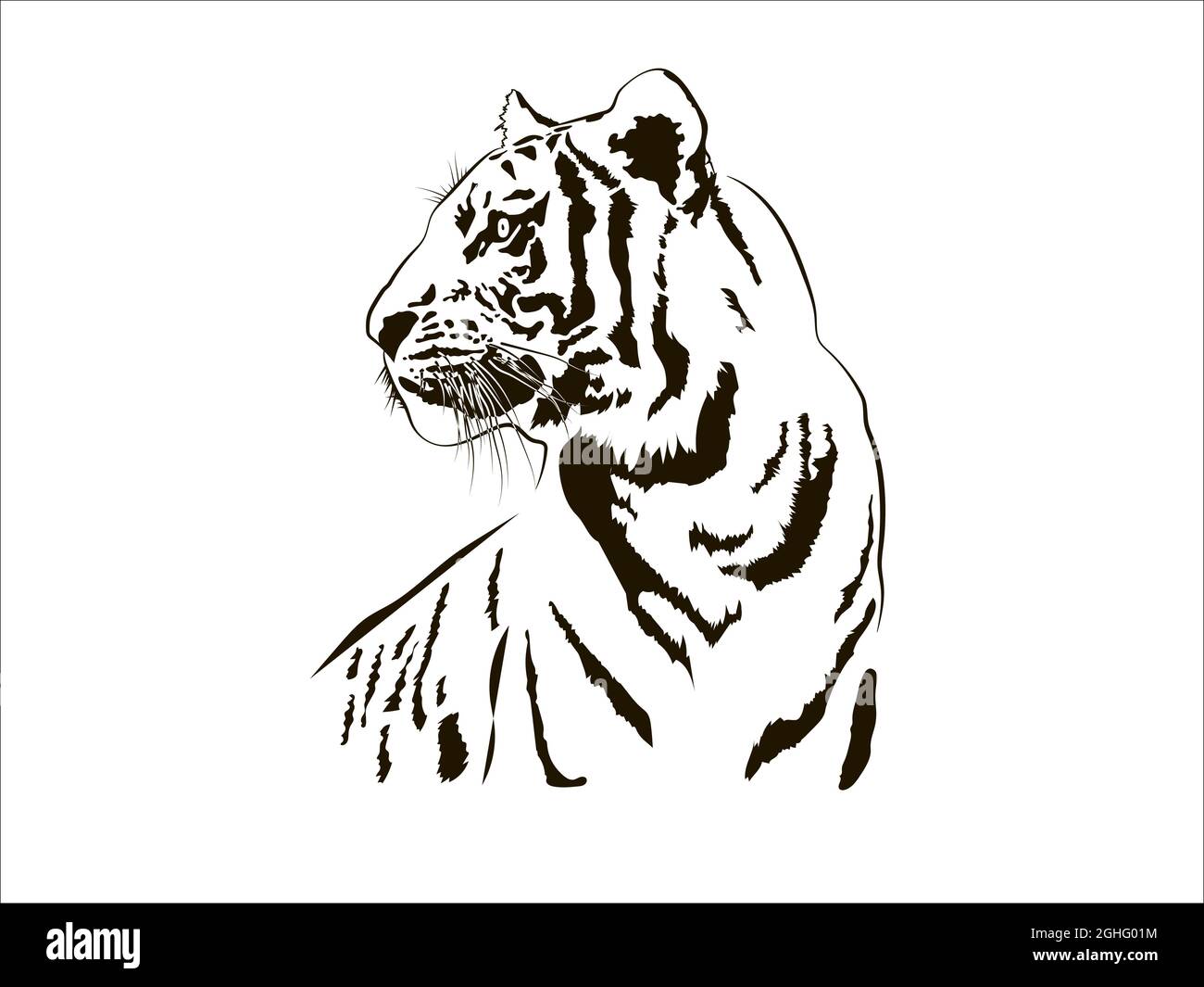 Vintage Tigers Printable Tigers Tiger Illustration And
