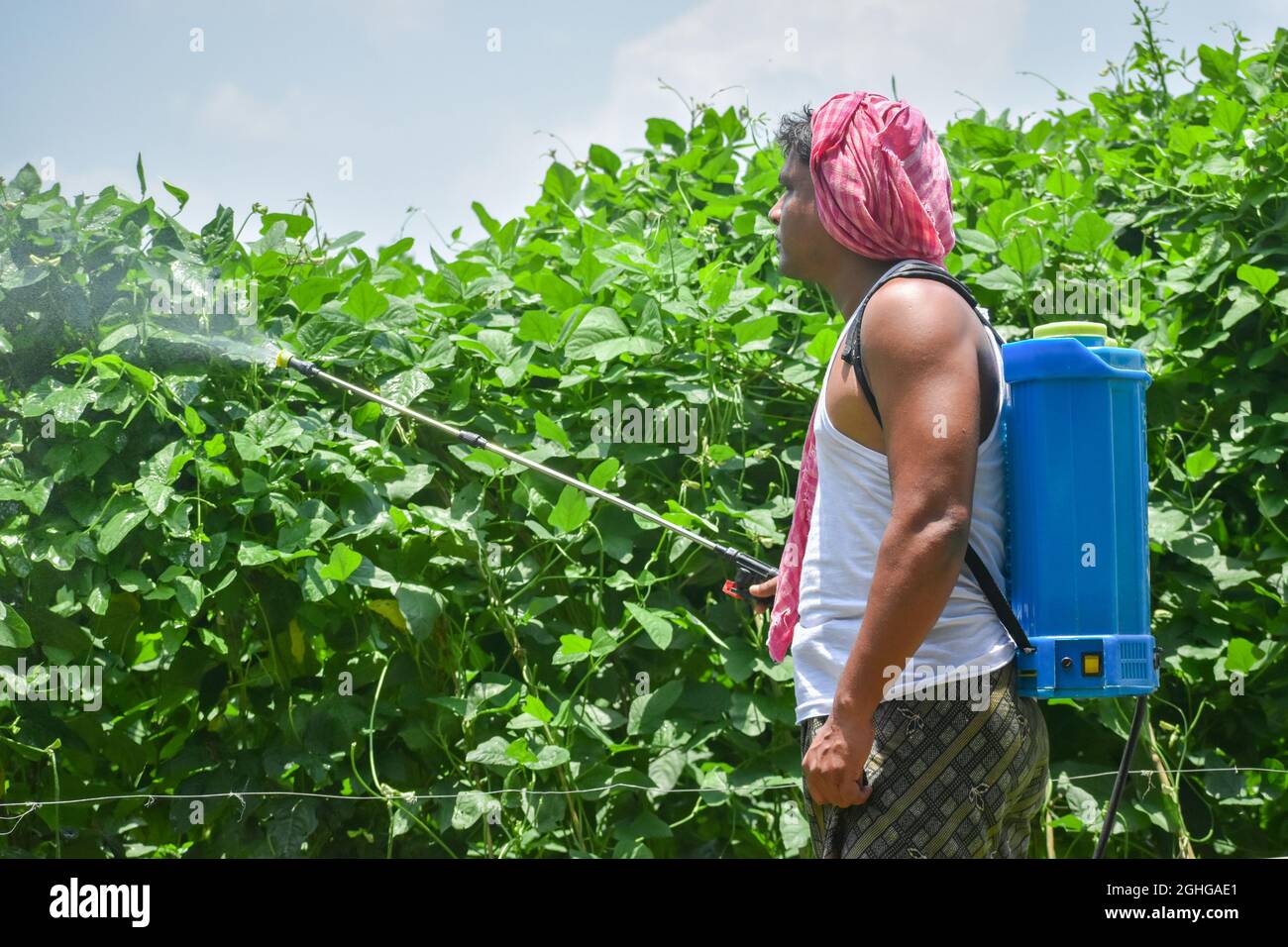 Farmer using insecticide hi-res stock photography and images - Alamy
