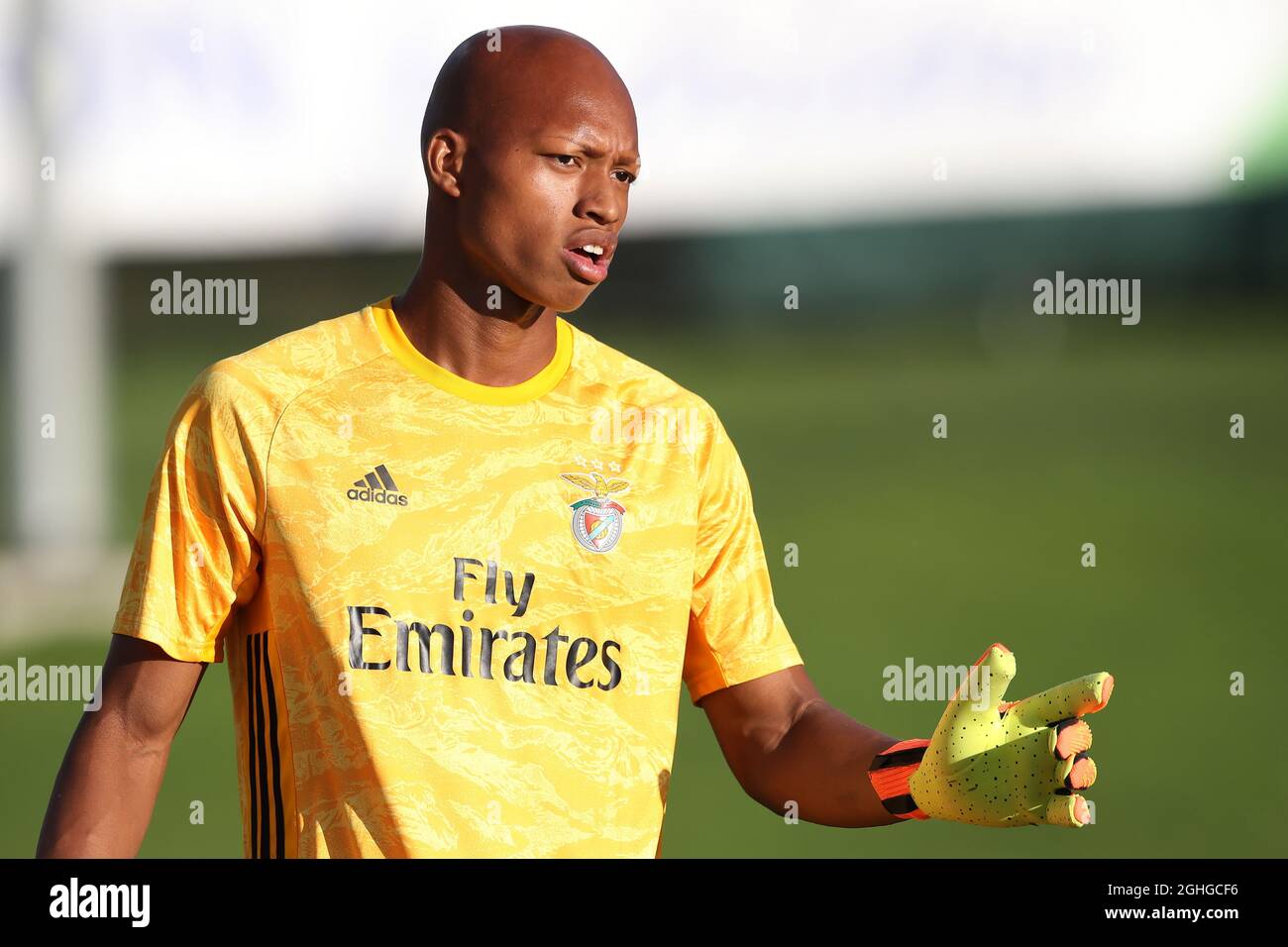 Leobrian kokubo hi-res stock photography and images - Alamy