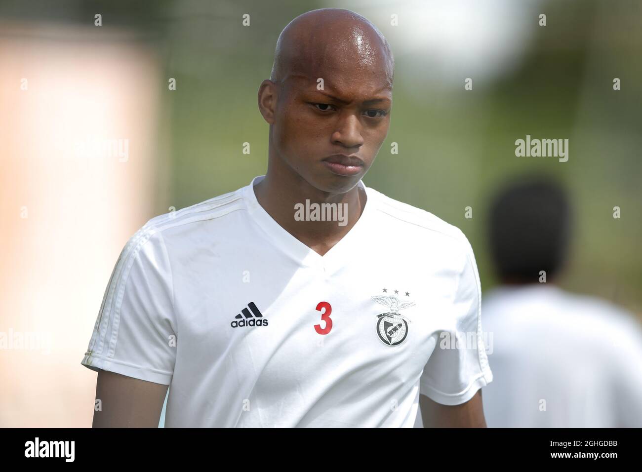 Leobrian kokubo hi-res stock photography and images - Alamy