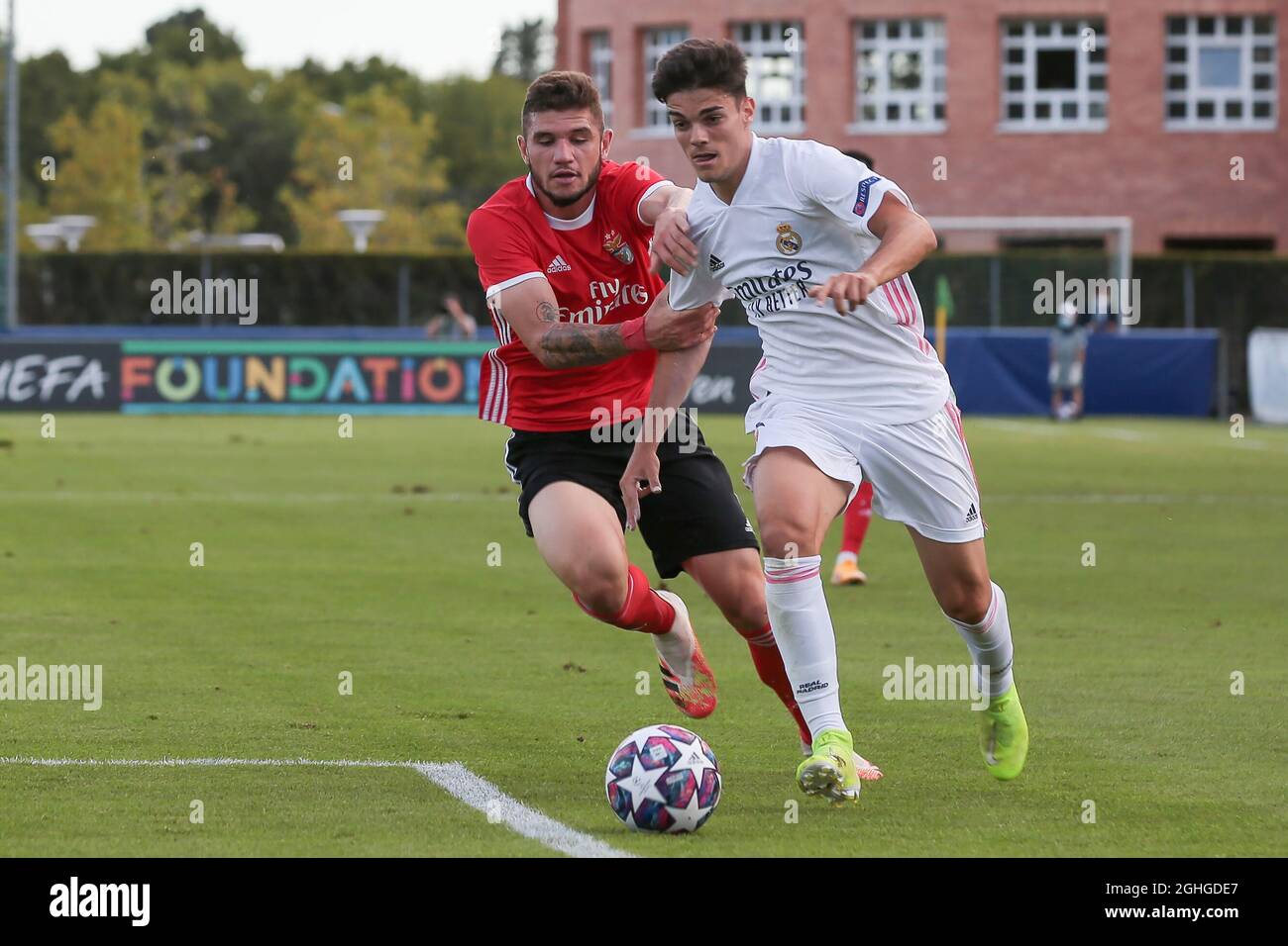 Morato benfica hi-res stock photography and images - Alamy