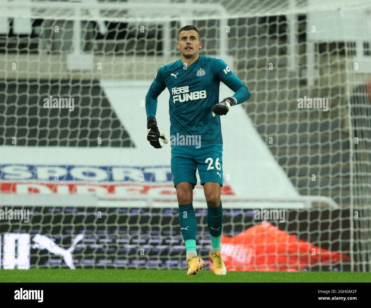 Hobbles hi-res stock photography and images - Alamy