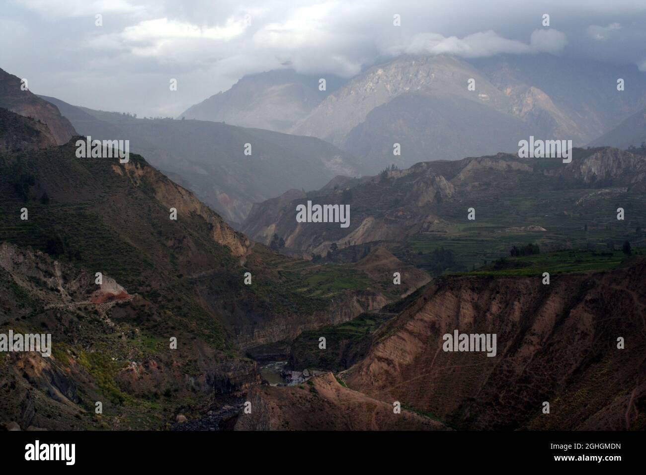 Stepped terraces on the steep sides of the Colca Canyon, Peru Stock ...