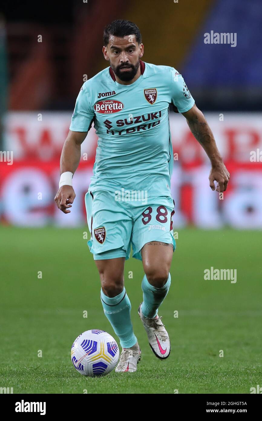 Tomas Rincon of Torino FC during the Serie A match at Luigi Ferraris ...