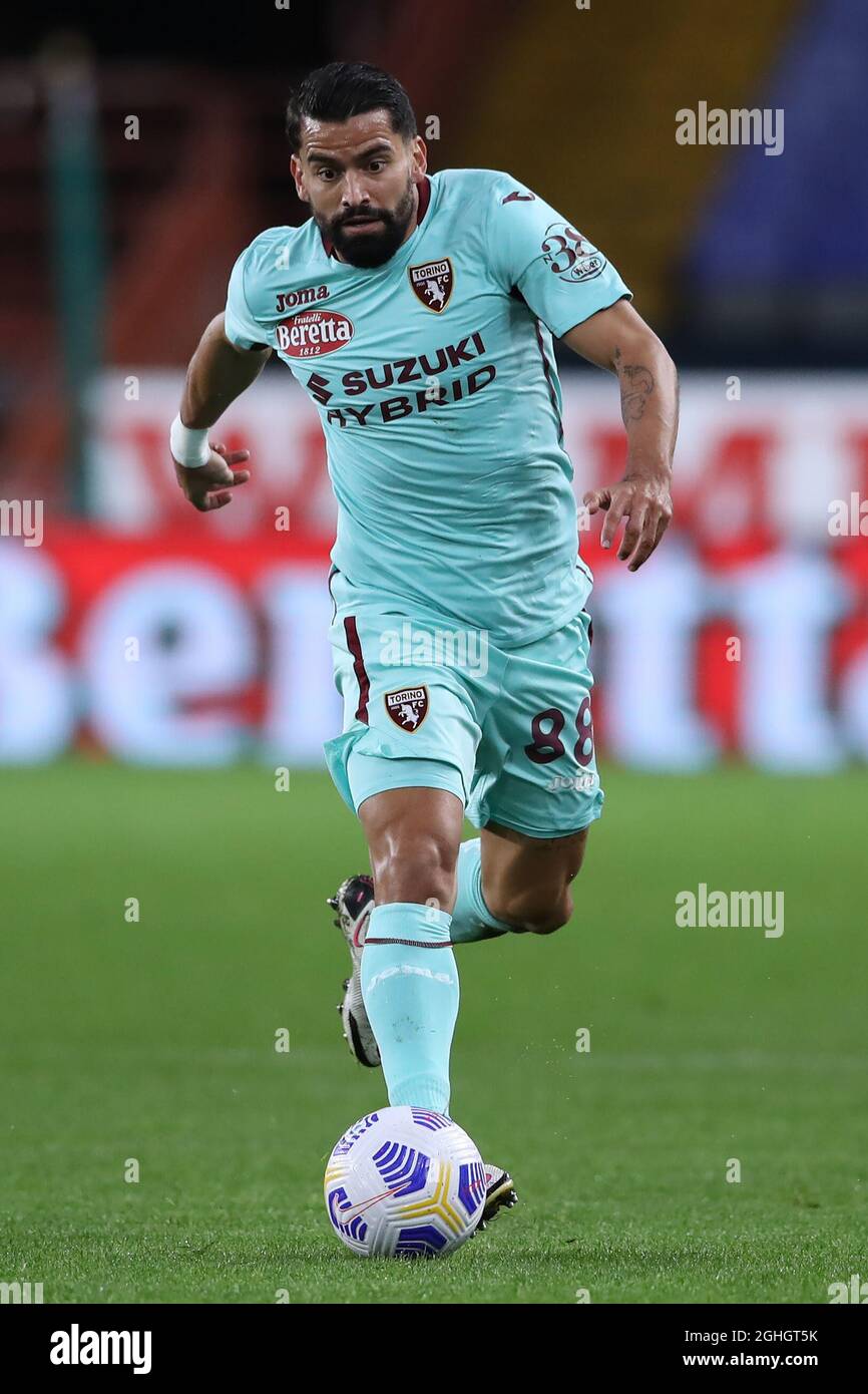 Tomas Rincon of Torino FC during the Serie A match at Luigi Ferraris ...